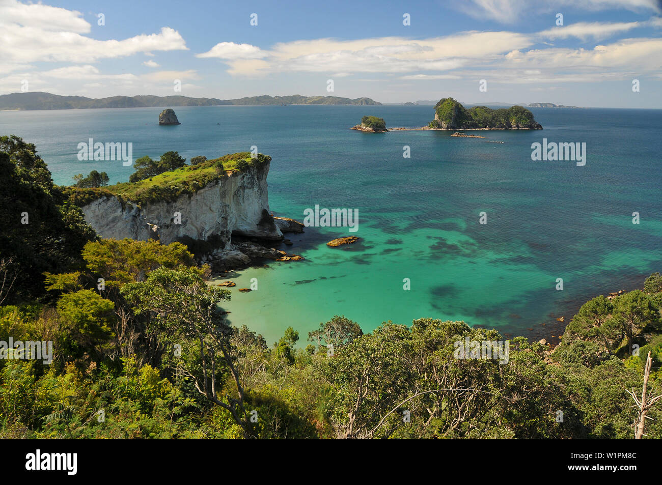 Overlooking the Mercury Bay, Coromandel, North Island, New Zealand ...