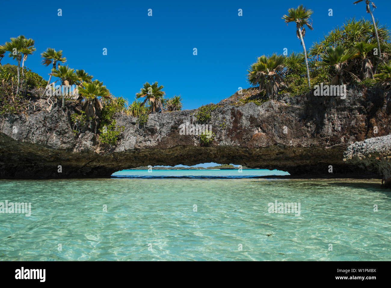 A low stone arch over turquoise water and covered by trees and plants ...