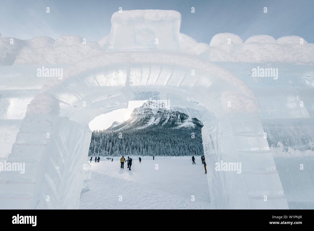 ice castle at Lake Louise, Bow Valley, Banff National Park, Alberta ...