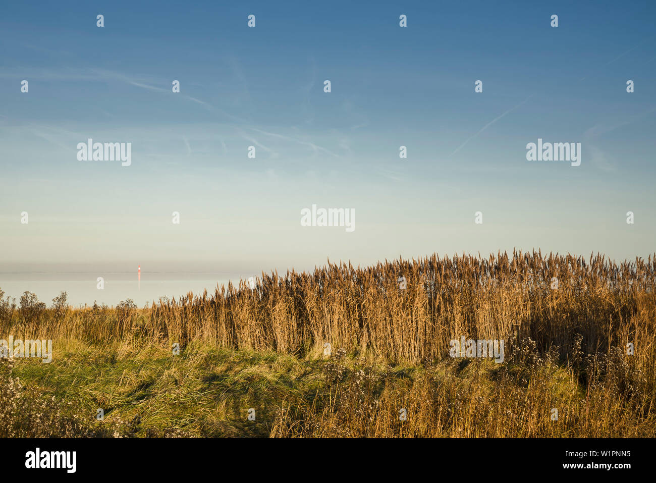 Varel dangast hi-res stock photography and images - Alamy