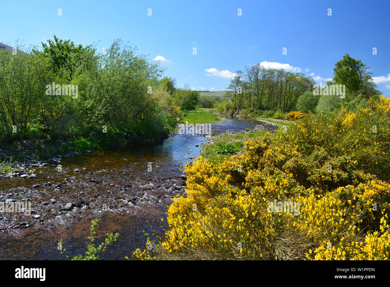 Breamish river hi-res stock photography and images - Alamy