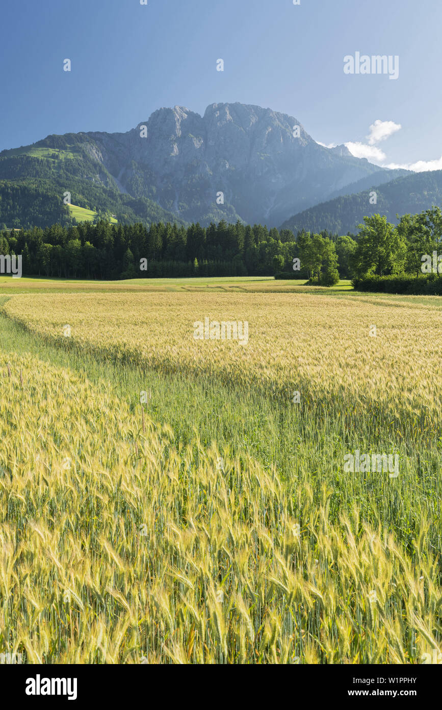 Gailtal alps hi-res stock photography and images - Alamy