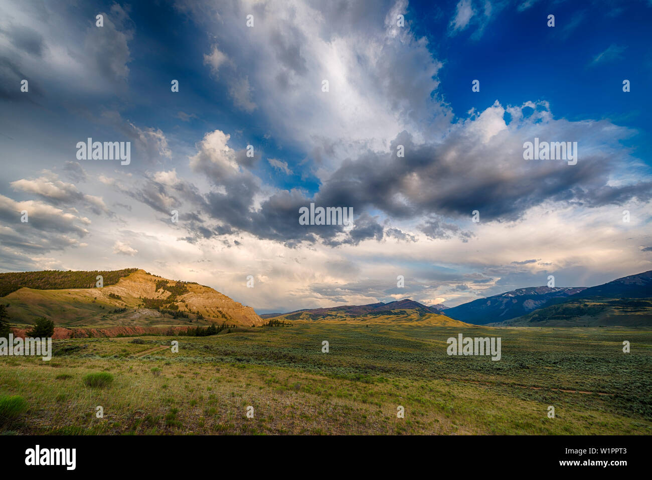 Bridger Teton National Forest, Wyoming, USA Stock Photo - Alamy