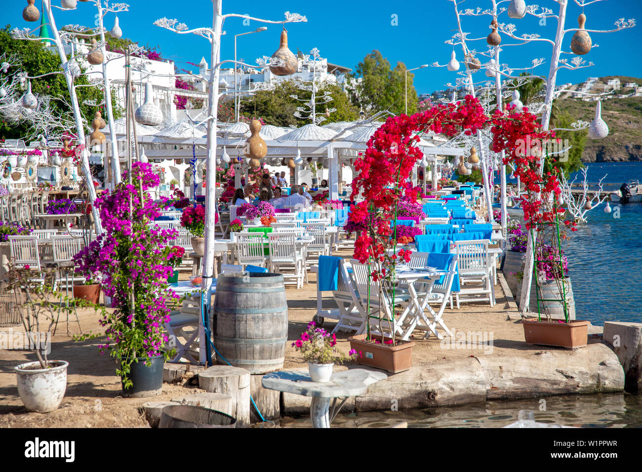 View of fish restaurant, cafe and bougainvillea flowers on beach in ...