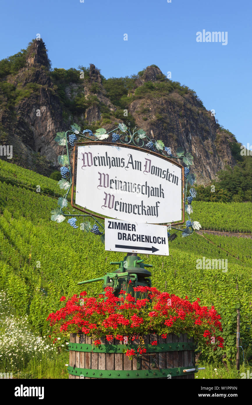 Wine house Domstein underneath the rocks of Drachenfels in ...