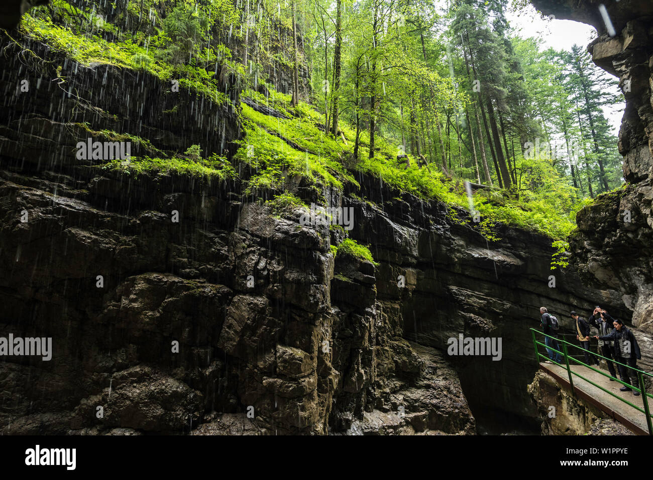 River landscape, watercourse, mountain, water cascade, meltwater ...
