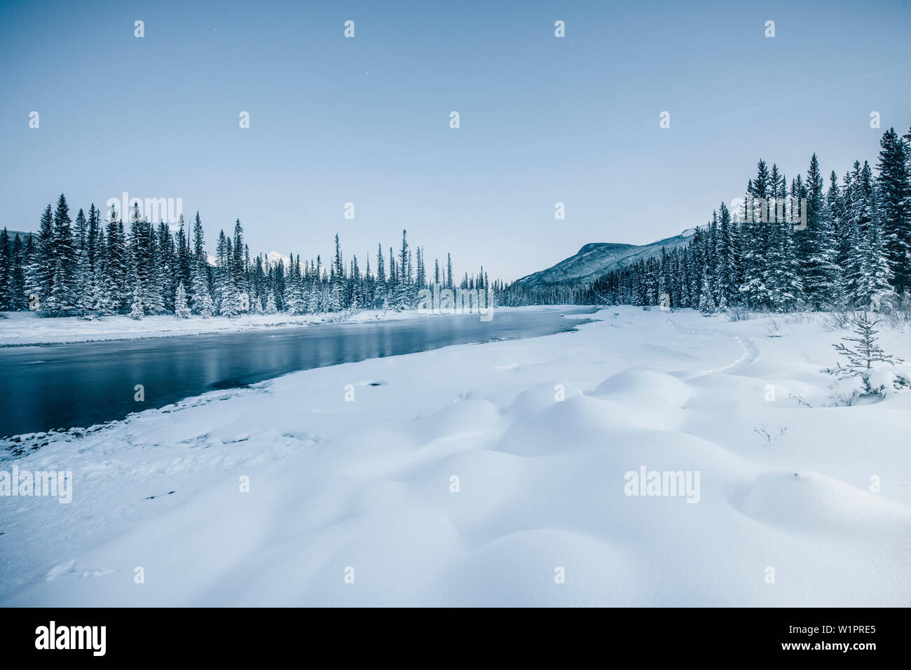 Riverside at Bow River, castle junction, Banff Town, Bow Valley, Banff ...