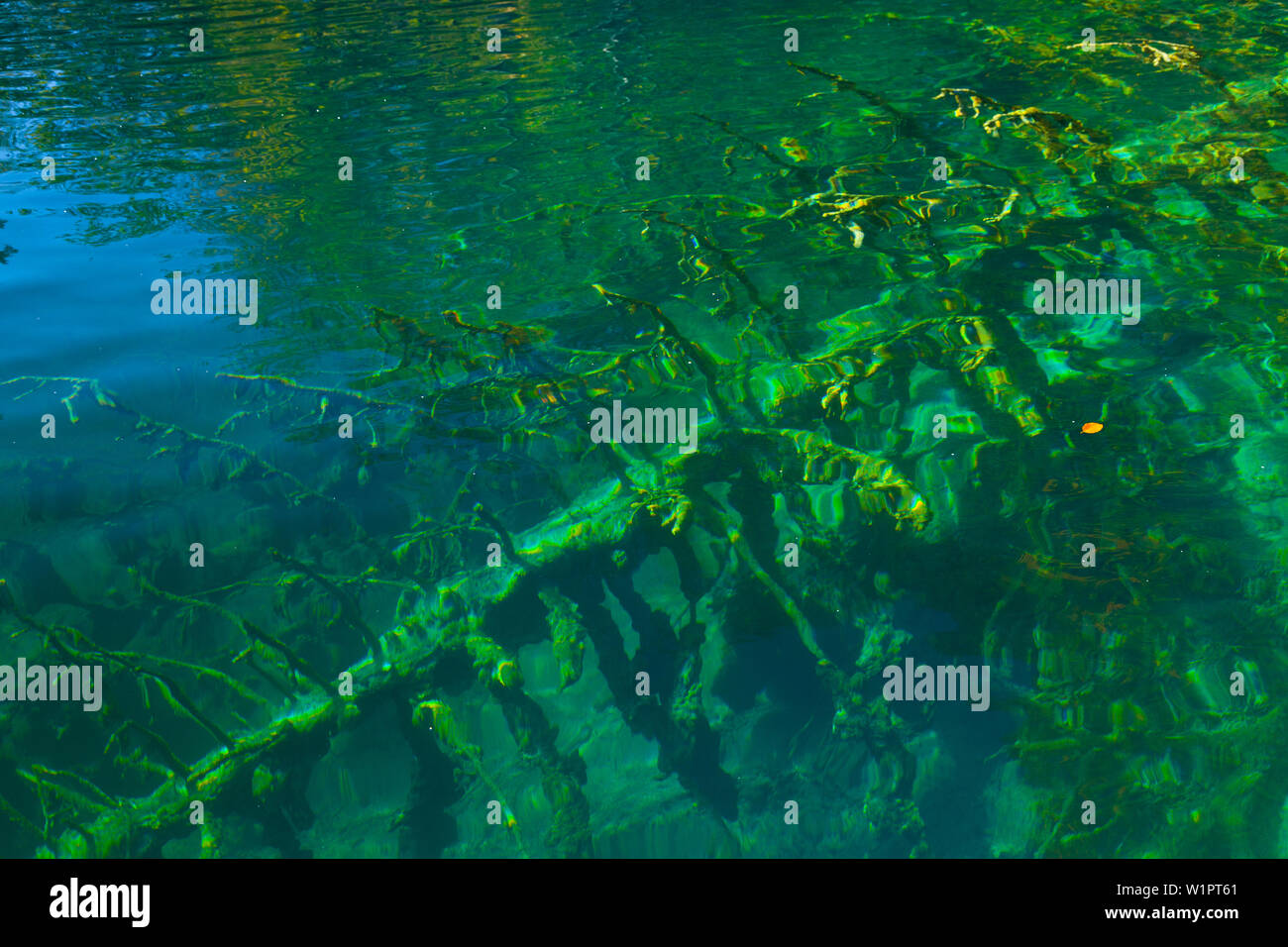 Plitvice lakes National Park, Lika region, Croatia, Europe Stock Photo ...