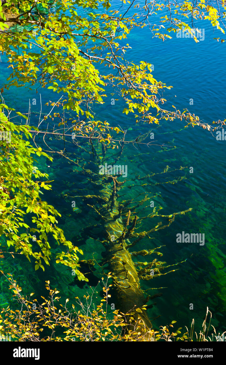 Plitvice lakes National Park, Lika region, Croatia, Europe Stock Photo ...