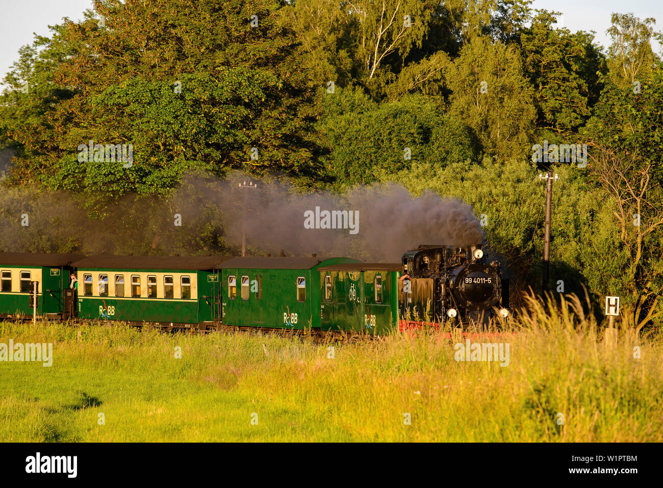 Steam Railway Rasender Roland, Rügen, Ostseeküste, Mecklenburg-Western ...