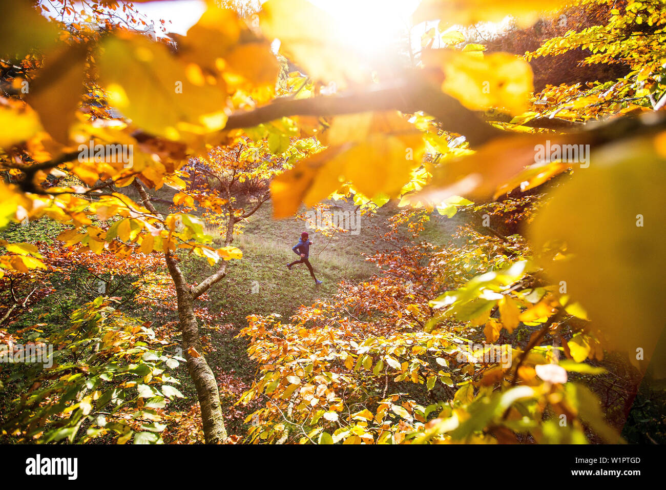 Person running through forest leaves hi-res stock photography and ...