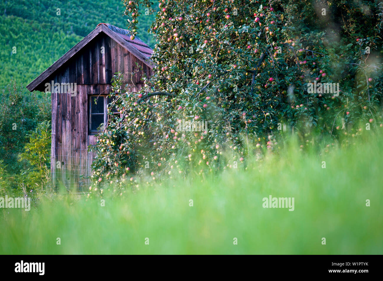Steigerwald nature park hi-res stock photography and images - Alamy