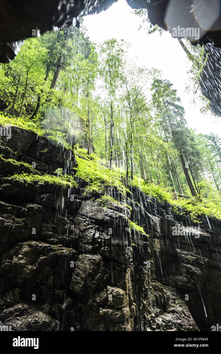River landscape, watercourse, mountain, water cascade, meltwater ...