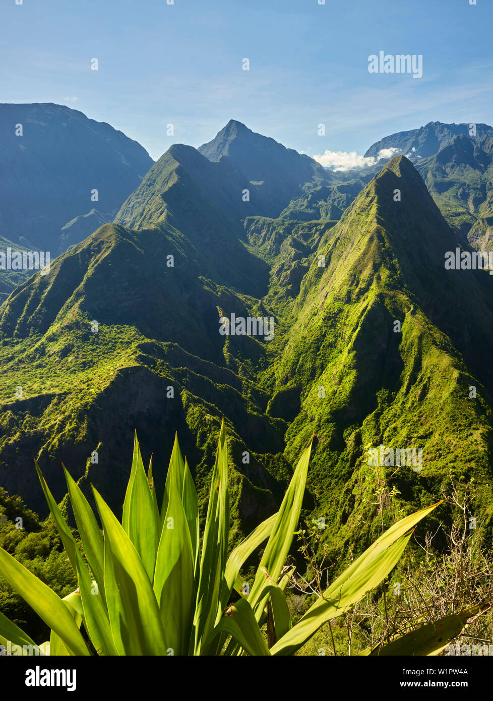 Cap noir reunion hi-res stock photography and images - Alamy