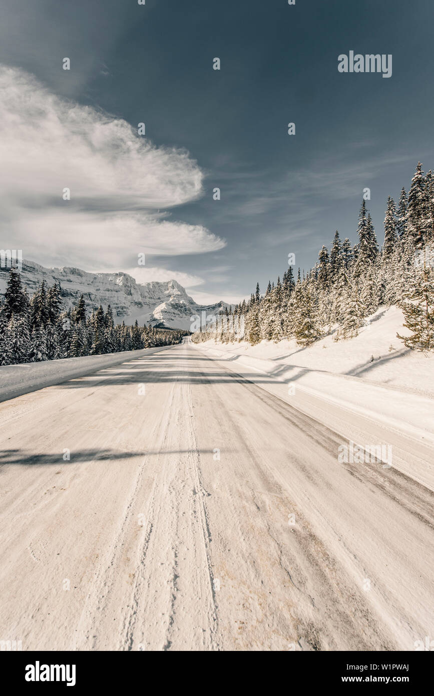 Icefields Parkway, Banff National Park, Jasper National Park, Alberta ...