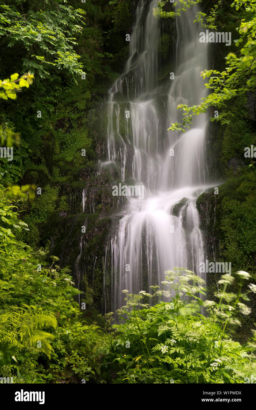 A nameless waterfall in the Val de Toran, a side valley of the Val d ...