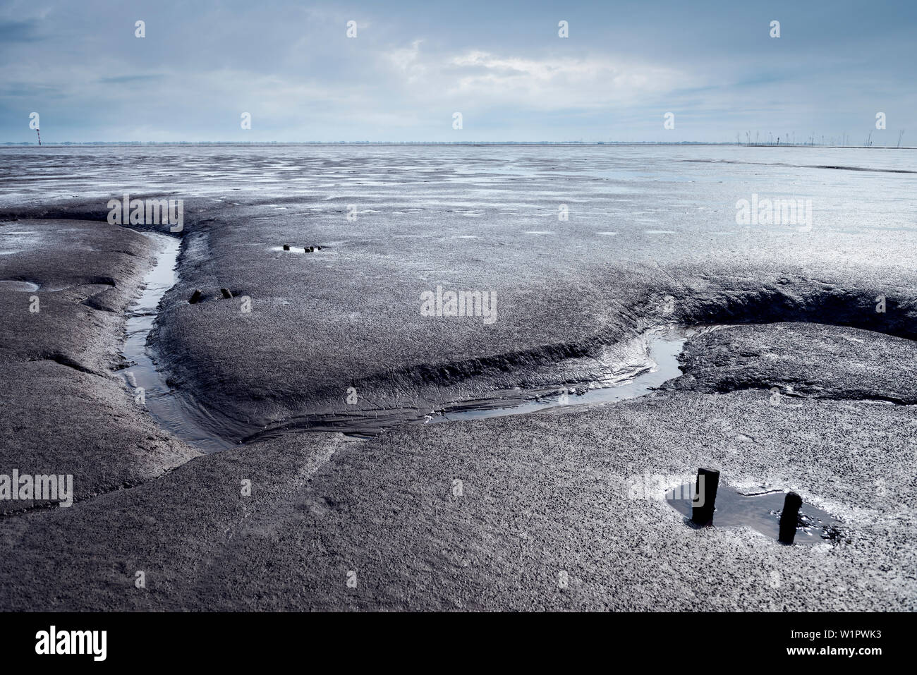 Sea intertidal hi-res stock photography and images - Alamy