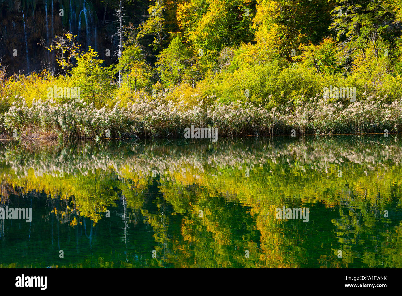Plitvice lakes National Park, Lika region, Croatia, Europe Stock Photo ...