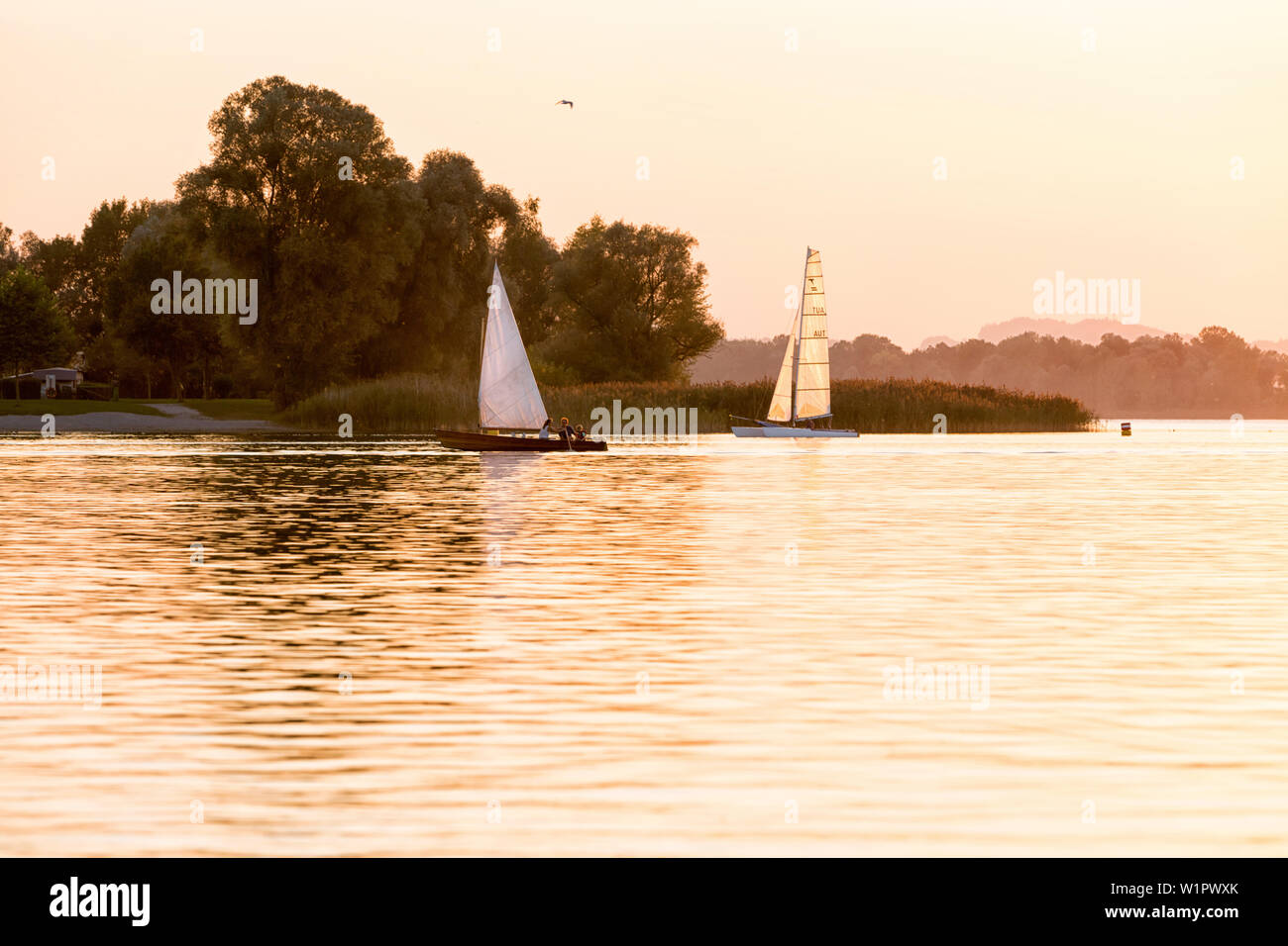 Summer evening on the shore of Lake Chiem, and plate and catamaran at ...
