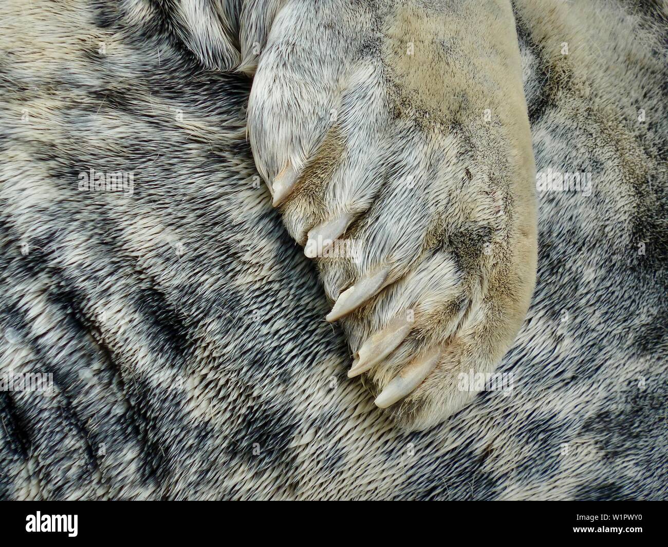 Gweek hi-res stock photography and images - Alamy