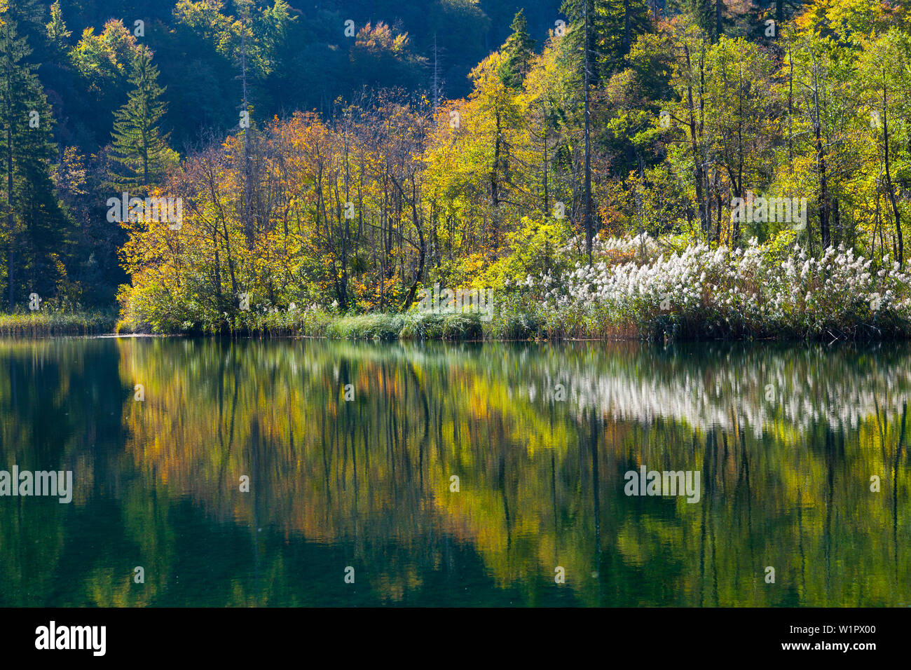 Plitvice lakes National Park, Lika region, Croatia, Europe Stock Photo ...