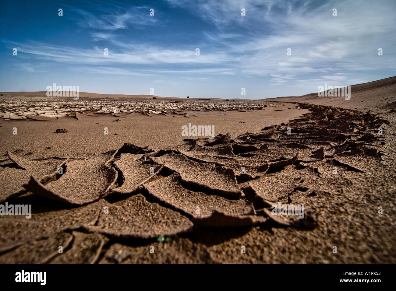 Dried ground with cracked desert soil, Erg Chegaga, Sahara, Morocco ...