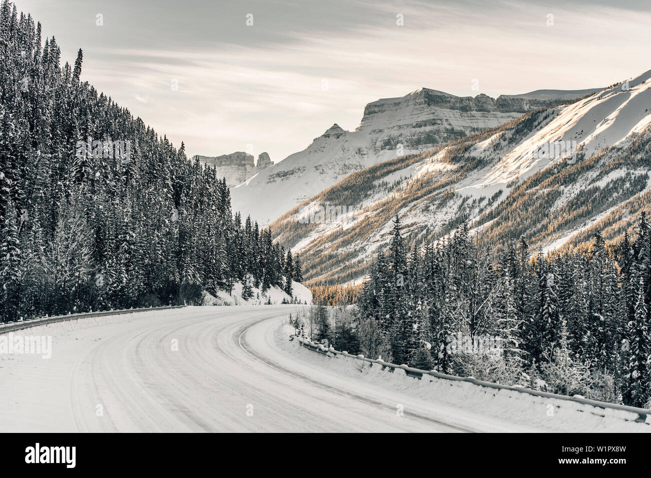 Icefields Parkway, Banff National Park, Jasper National Park, Alberta ...