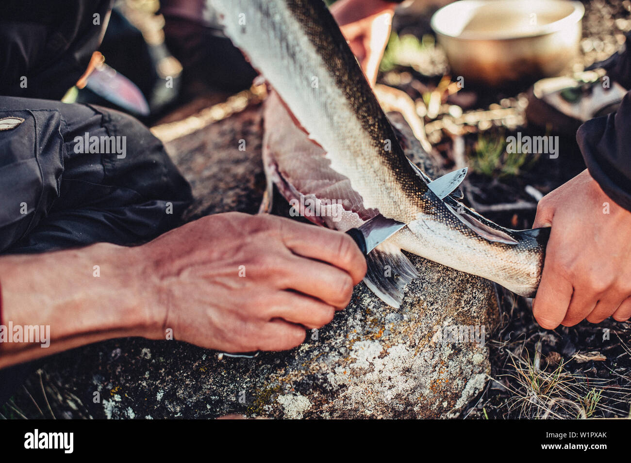 man preparing a fish, greenland, arctic Stock Photo - Alamy
