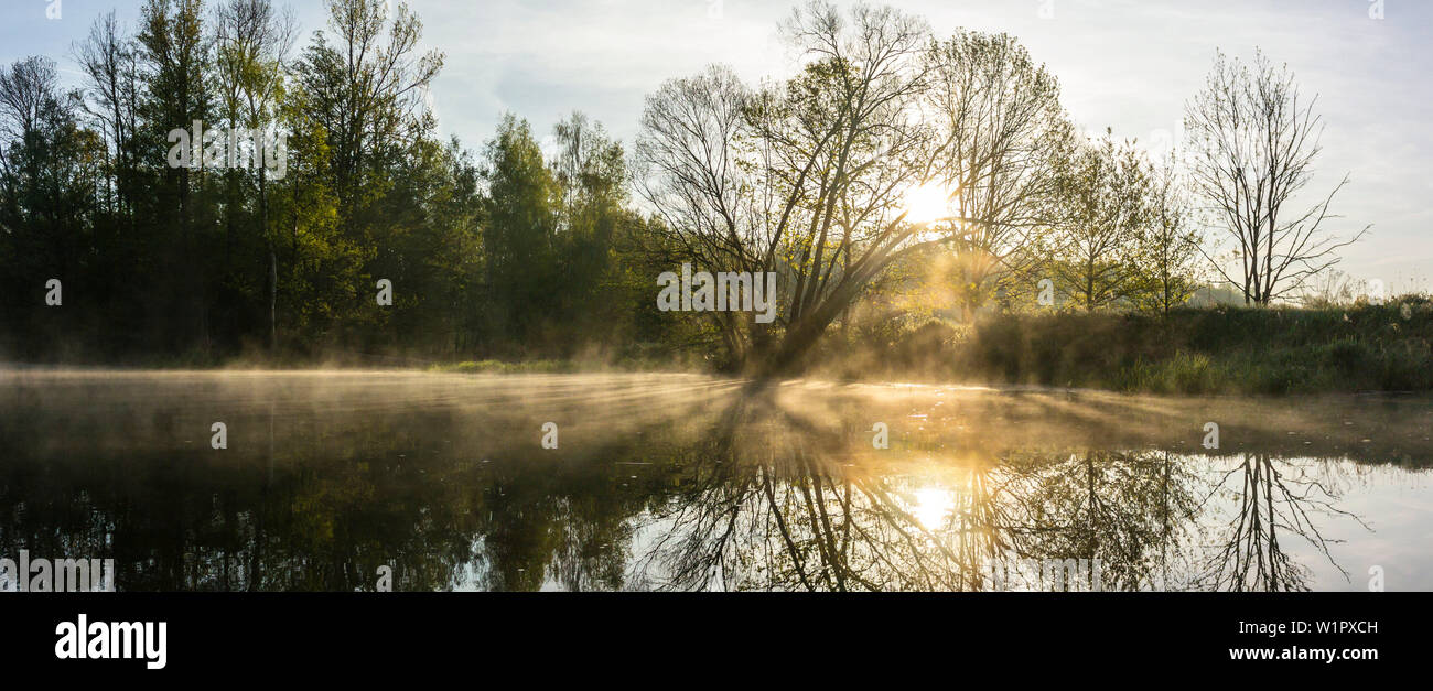 Morning mist over the rivers of the Spreewald during sunrise Stock ...