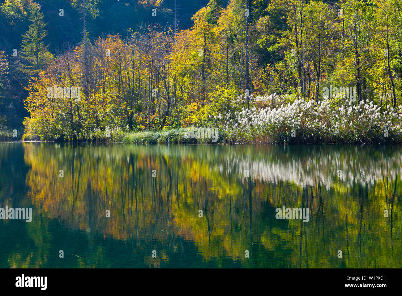 Plitvice lakes National Park, Lika region, Croatia, Europe Stock Photo ...