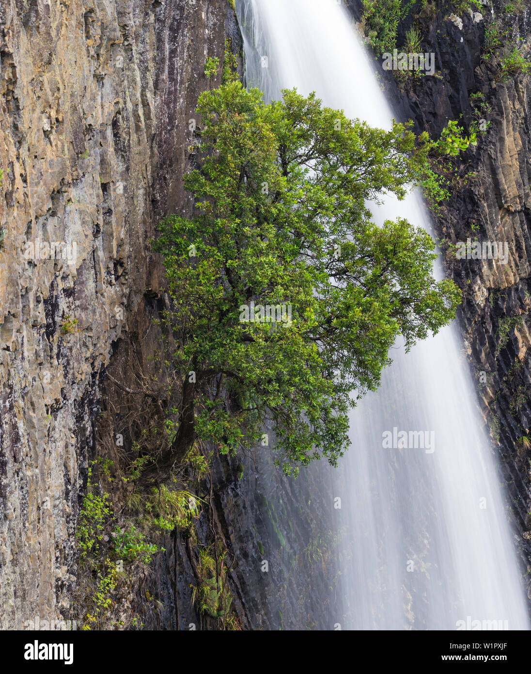 Raglan waterfall hi-res stock photography and images - Alamy