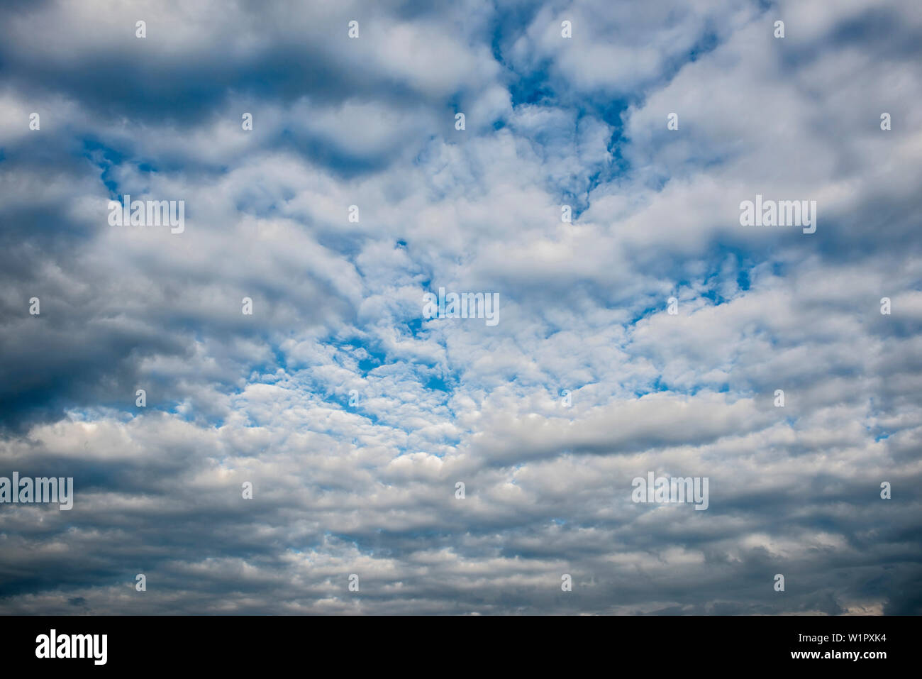 Stratocumulus clouds hi-res stock photography and images - Alamy