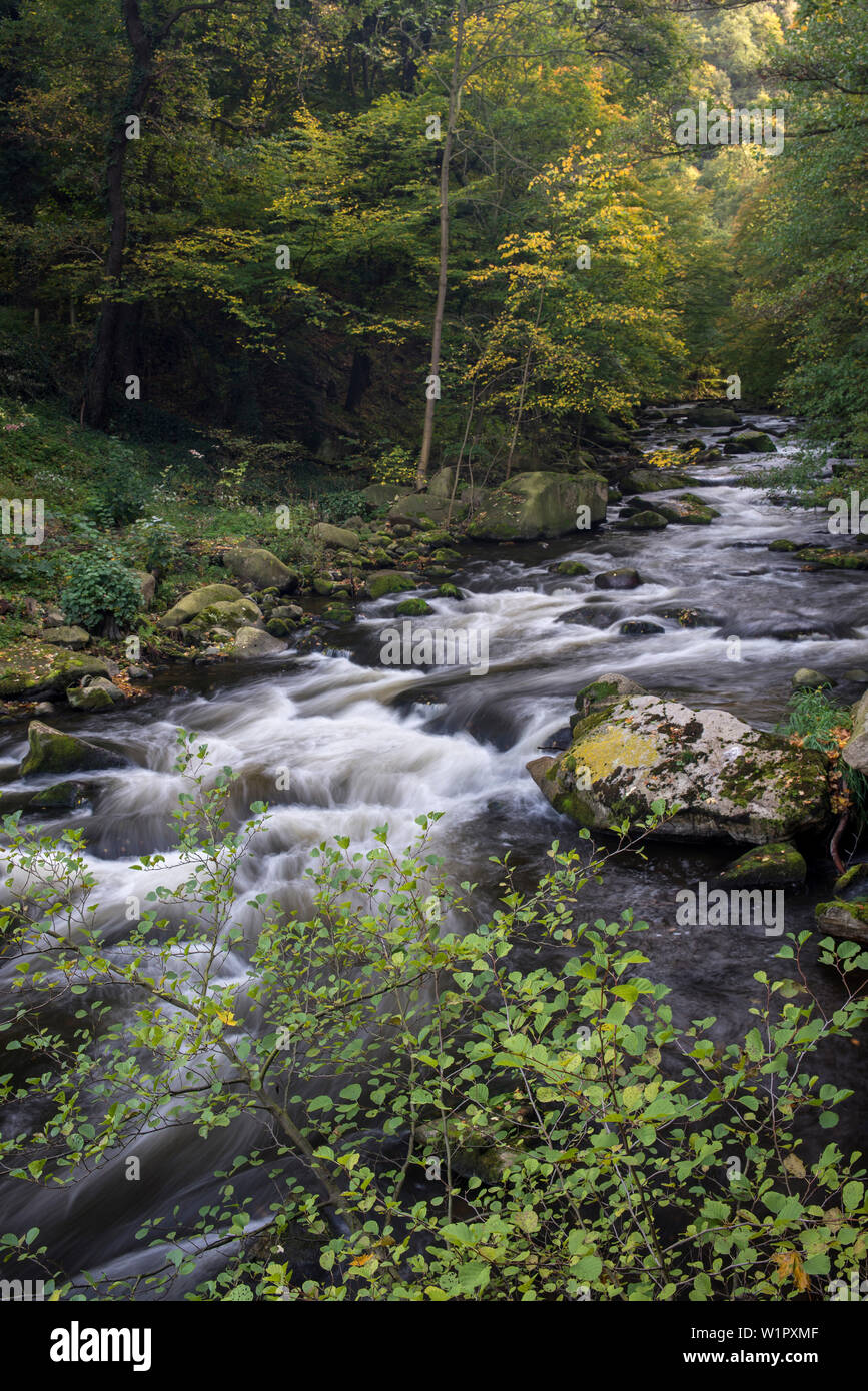 River Bode, Bode Valley, Thale, Harz District, Harz National Park ...