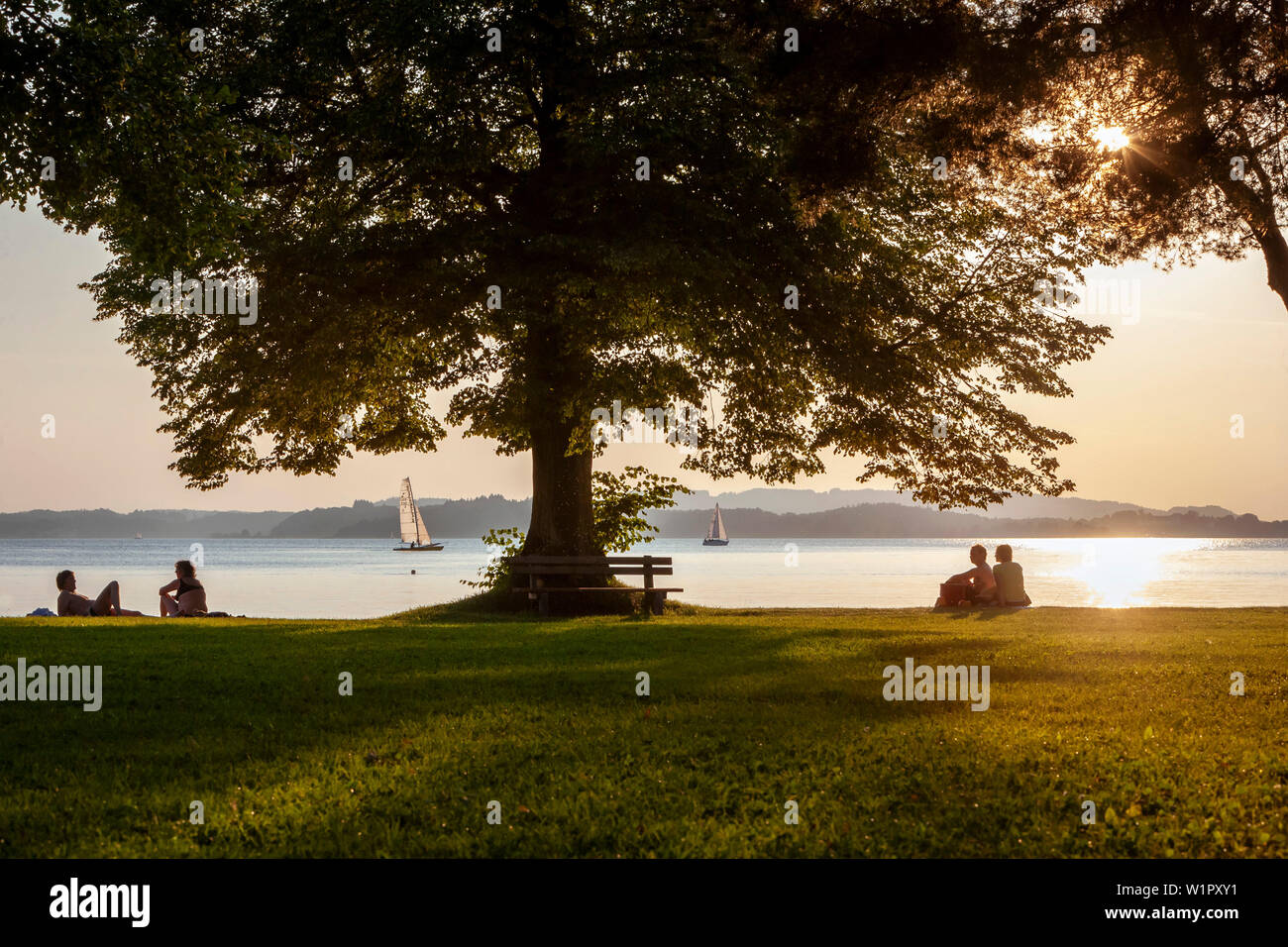 2 couples, sitting under a large tree on the lawn in the lido overseas ...