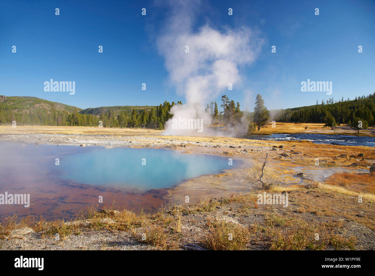 Yellowstone is a super volcano hi-res stock photography and images - Alamy