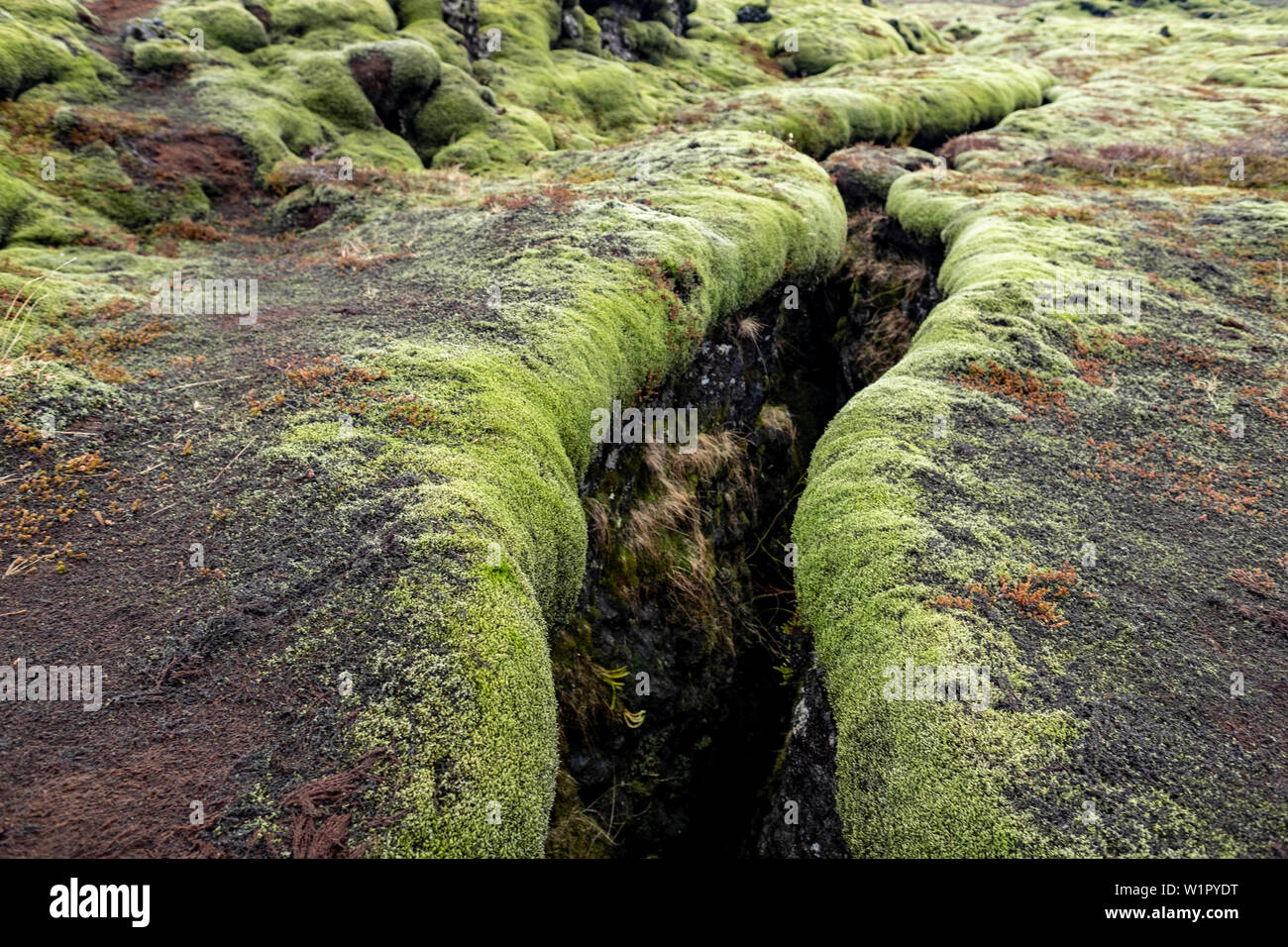 Mossy lava fields hi-res stock photography and images - Alamy