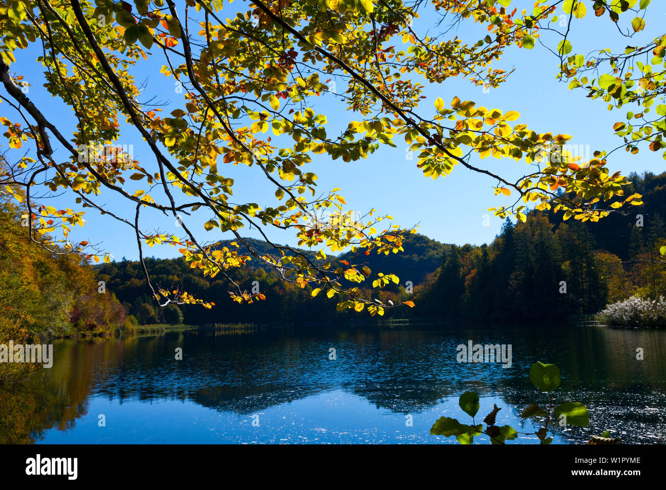 Plitvice lakes National Park, Lika region, Croatia, Europe Stock Photo ...
