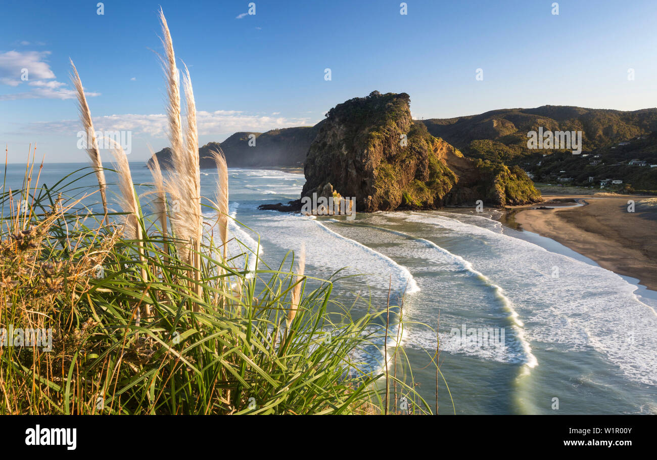 Piha, Waitakere Ranges Regional Park, Auckland, Tasman Sea, North ...