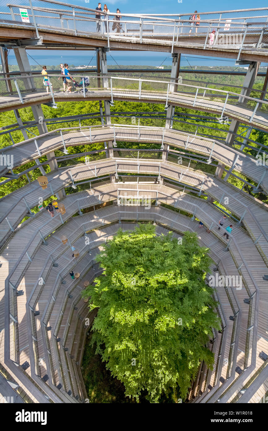 Tree top path hi-res stock photography and images - Alamy