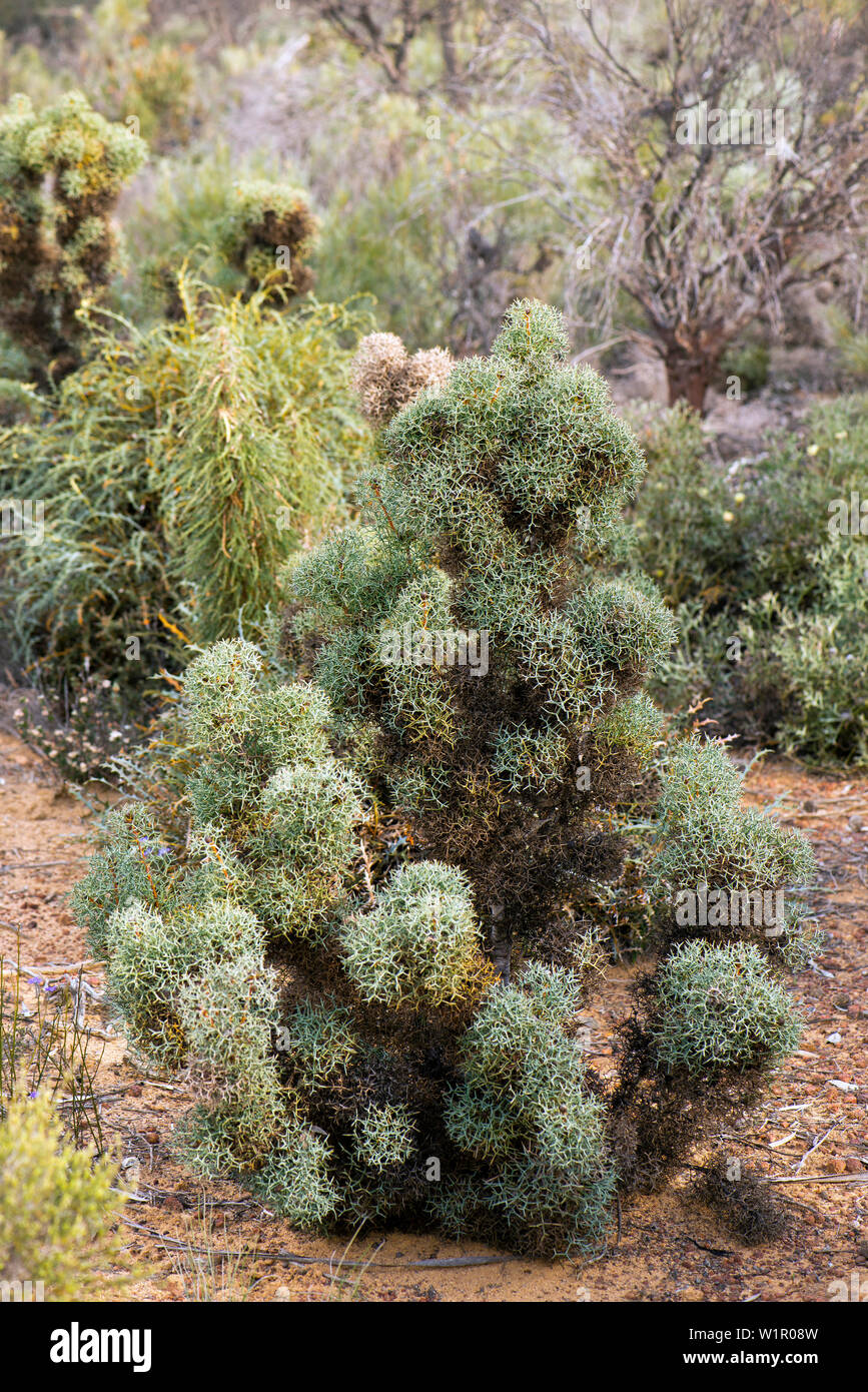 Tarin rock hi-res stock photography and images - Alamy