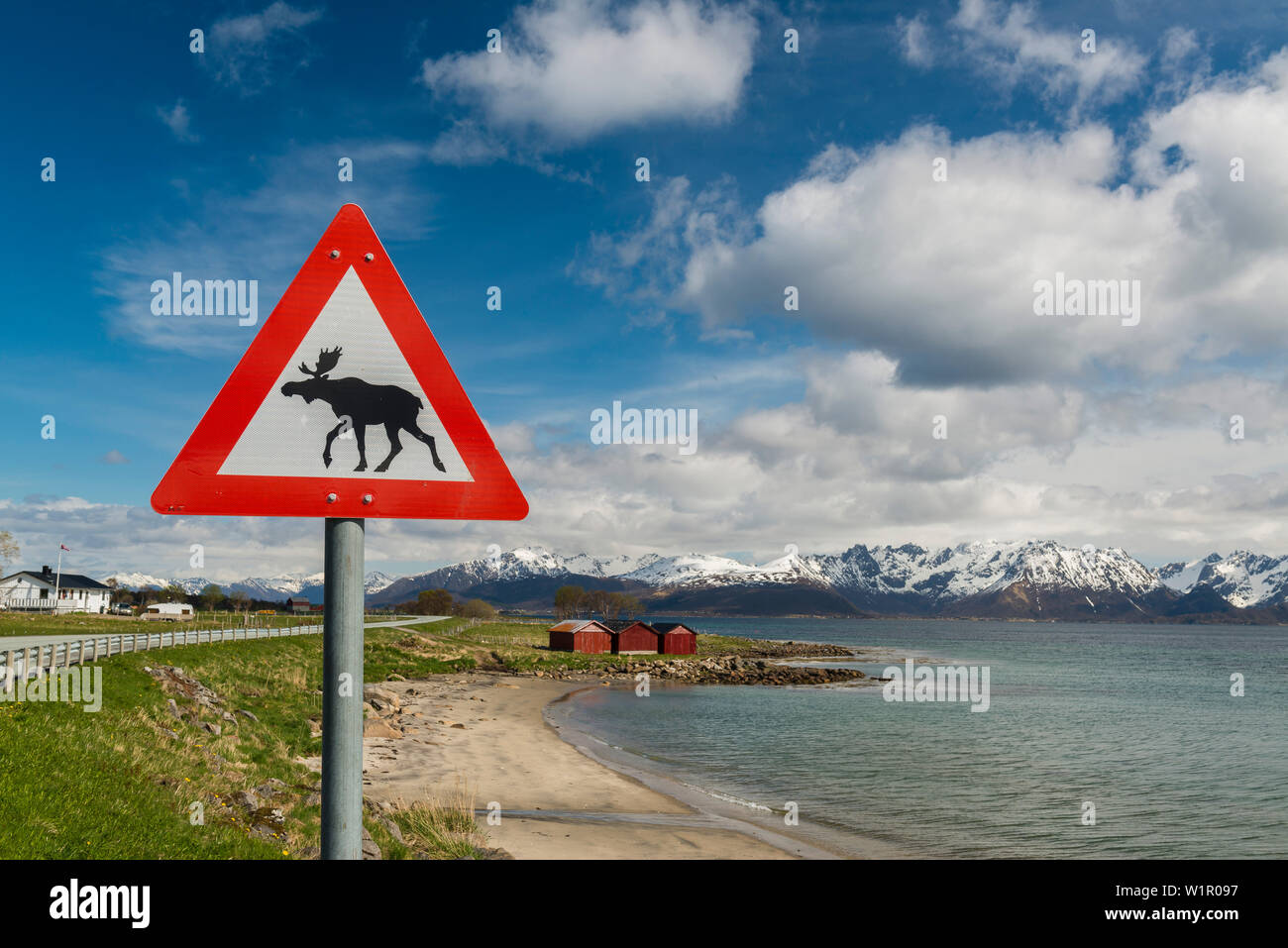 Elk crossing road sign hi-res stock photography and images - Alamy