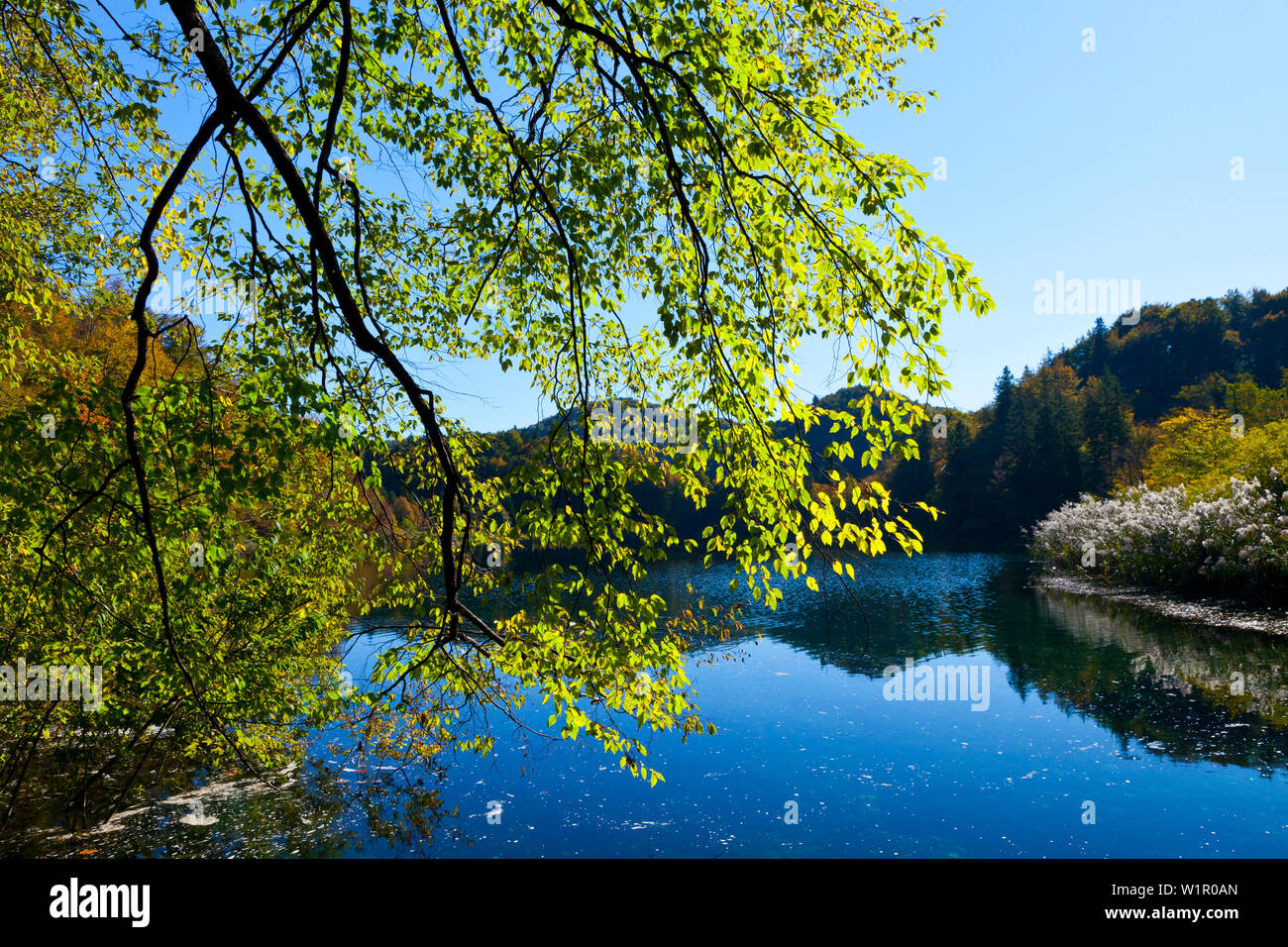 Landscape in lika region hi-res stock photography and images - Alamy