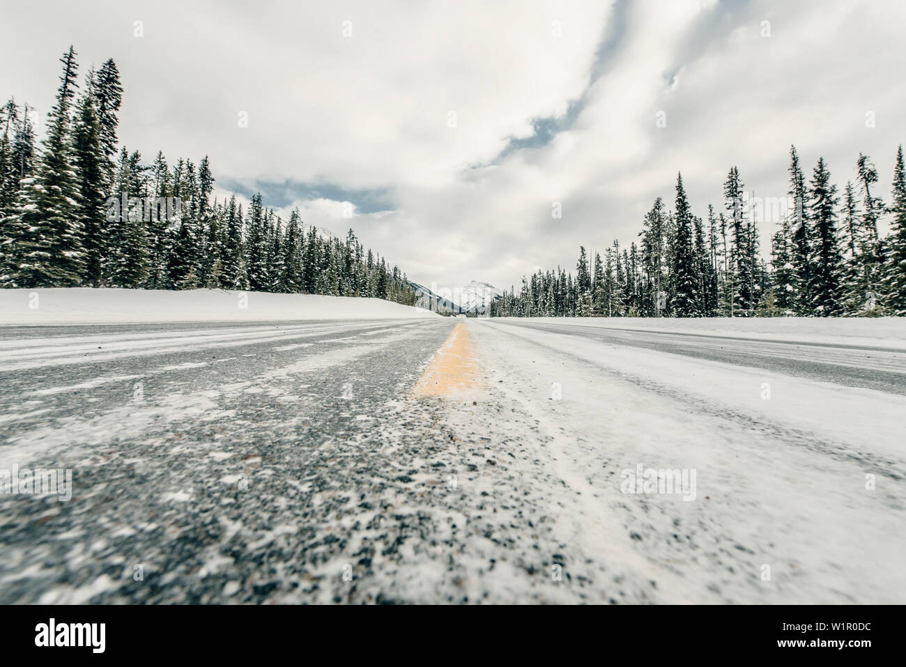 Icefields Parkway, Banff National Park, Jasper National Park, Alberta ...
