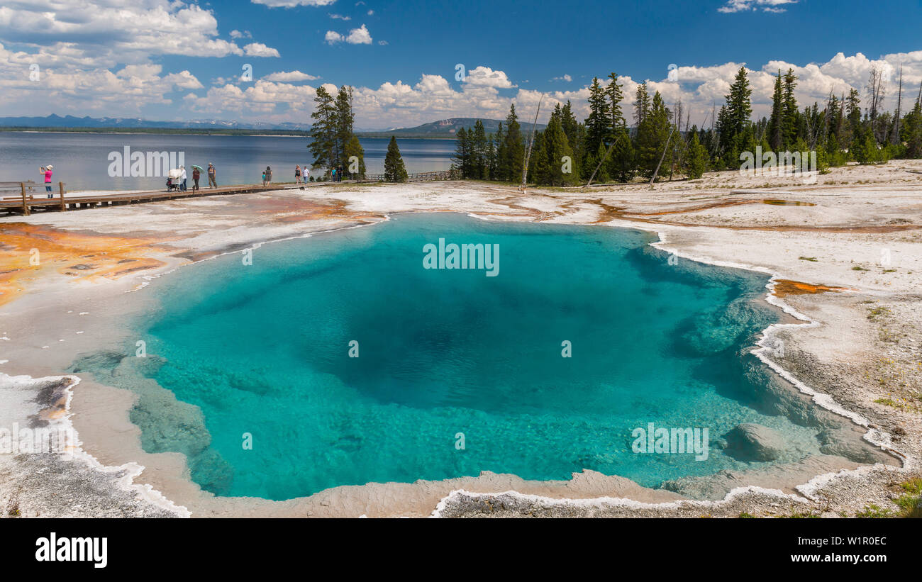 Black Pool Yellowstone Black Opal Pool In Yellowstone National Park,