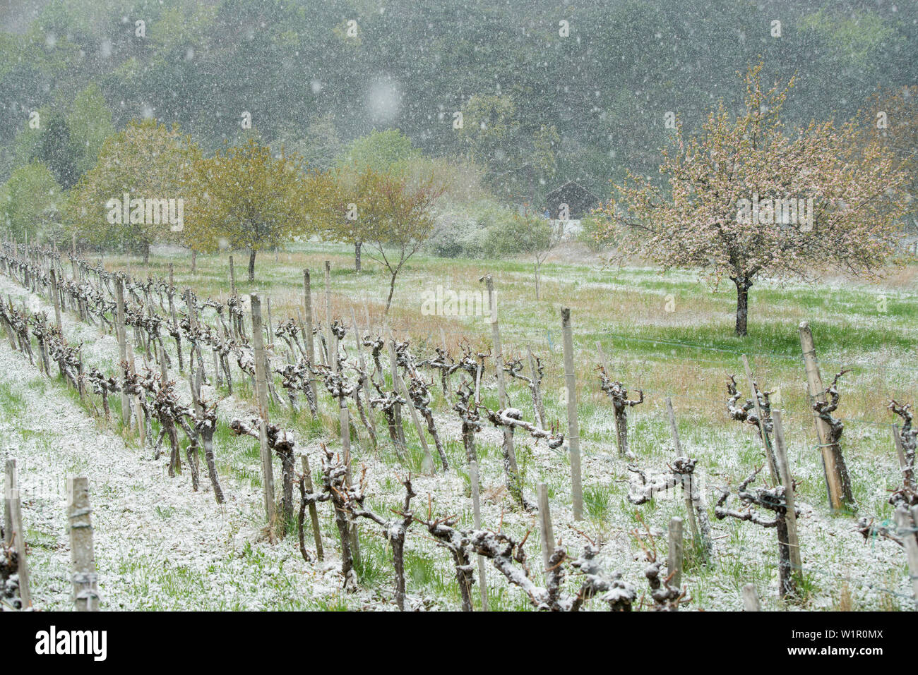 Snap in hi-res stock photography and images - Alamy