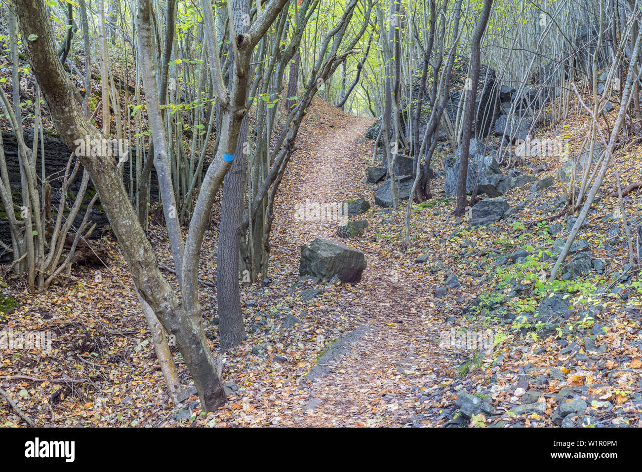 Trail to Langesundtangen, Langesund,Telemark, Østlandet, Southern ...