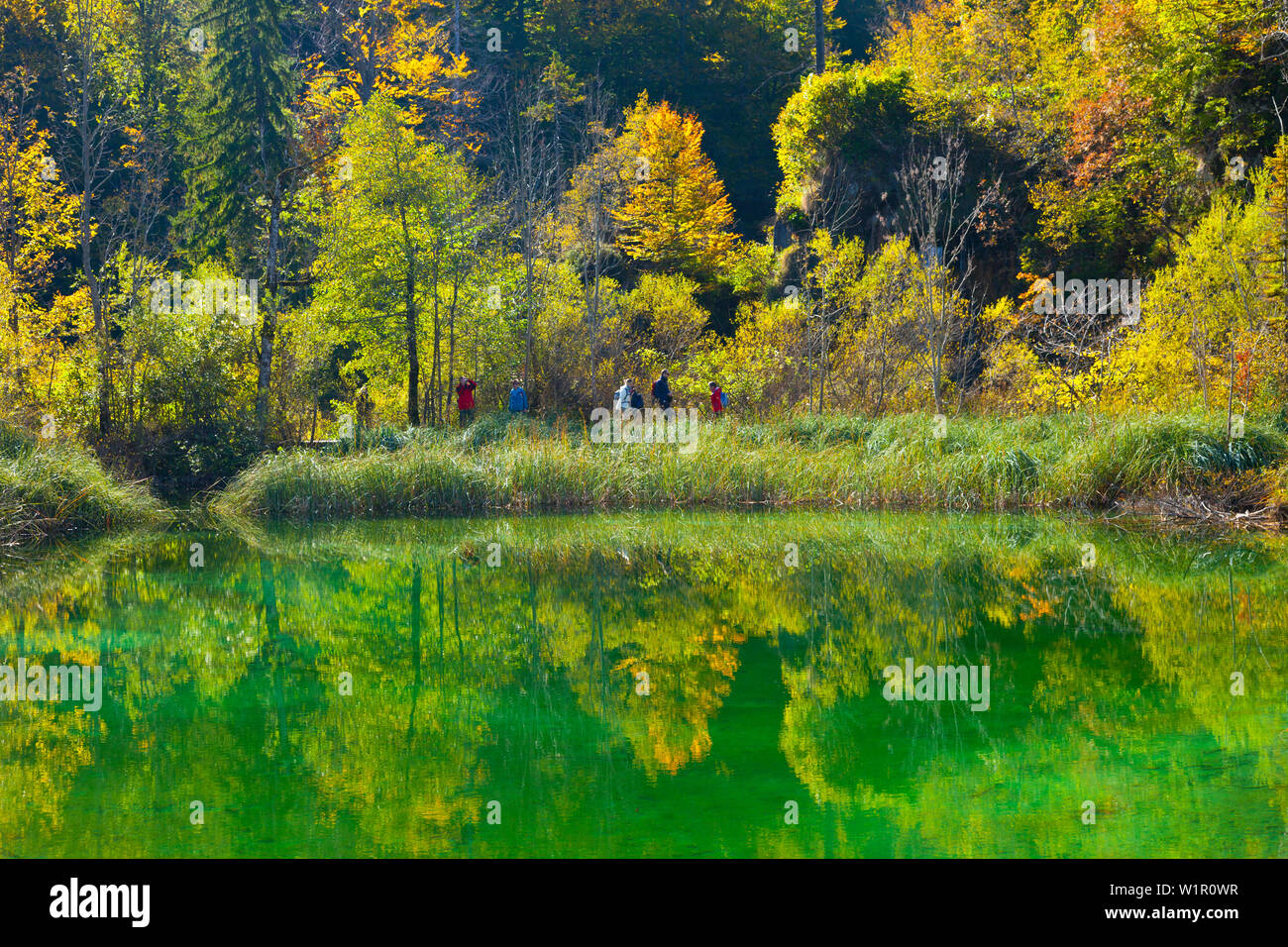 Plitvice lakes National Park, Lika region, Croatia, Europe Stock Photo ...