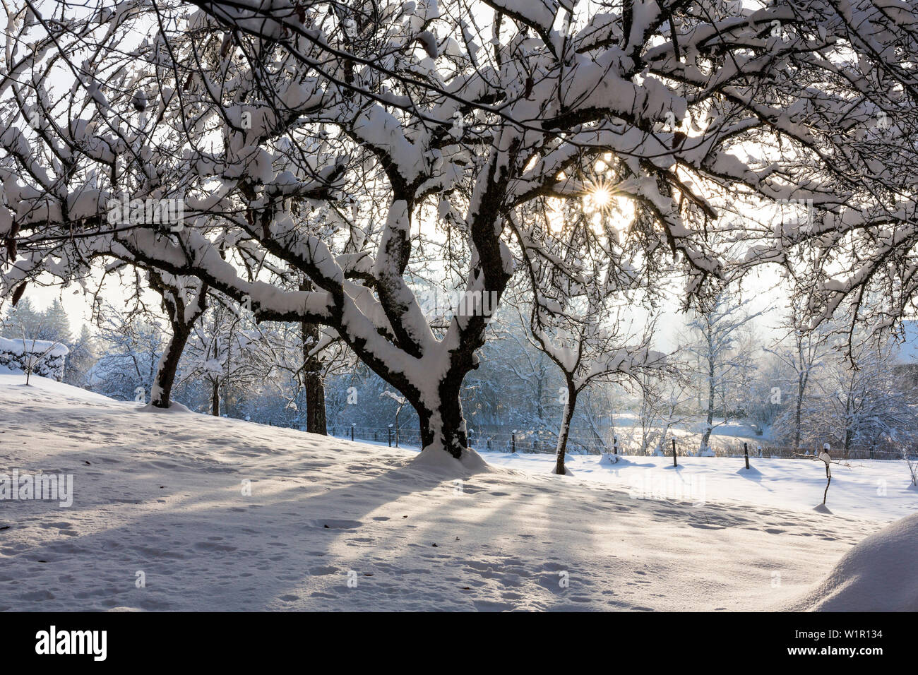 Spec of snow hi-res stock photography and images - Alamy