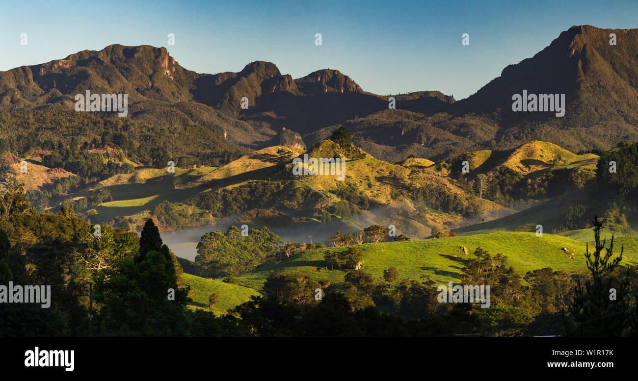 Coromandel Forest Park, Thames-Coromandel District, Coromandel ...