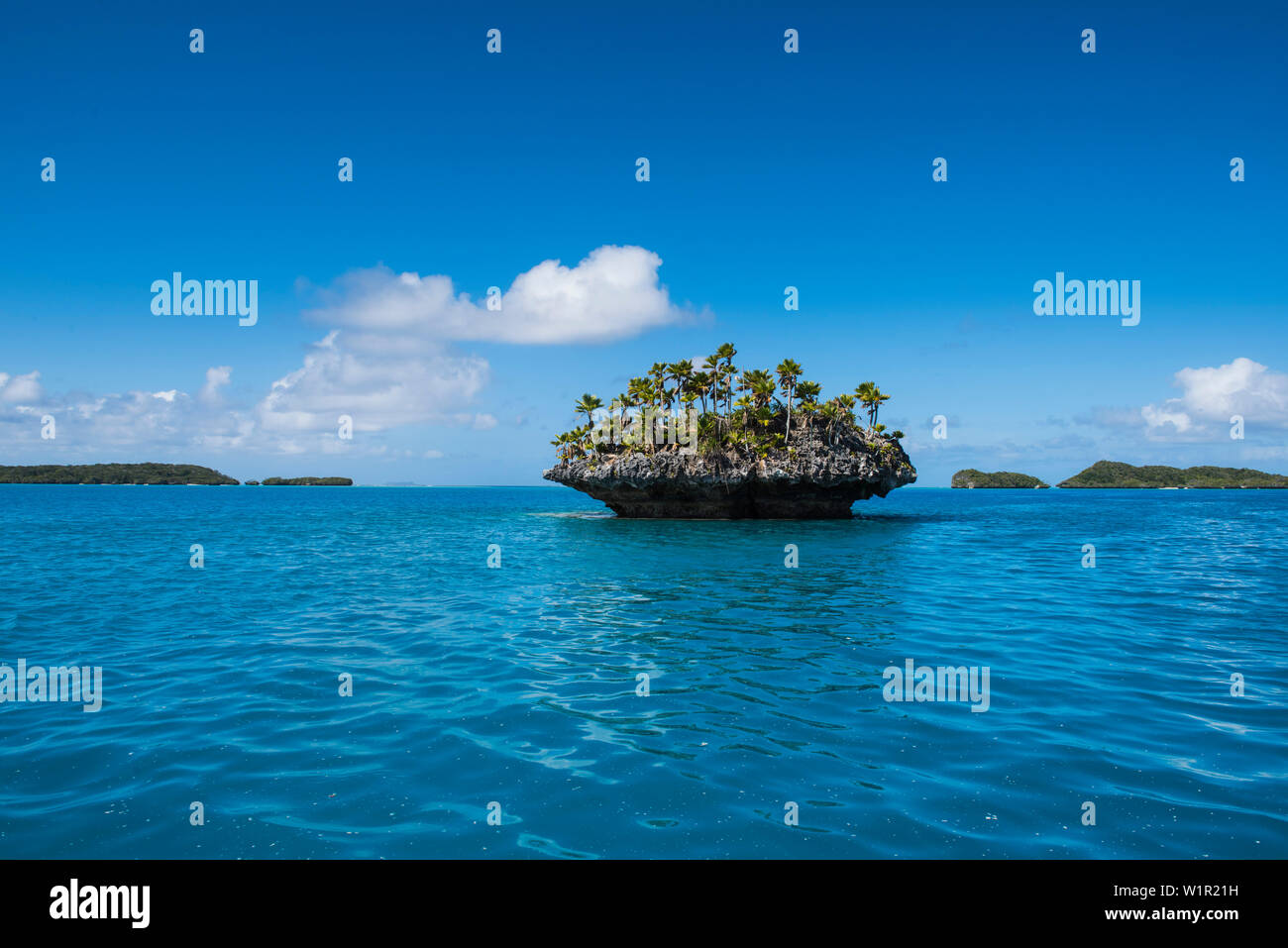 A tiny mushroom-shaped island covered with palm trees and bushes stands ...